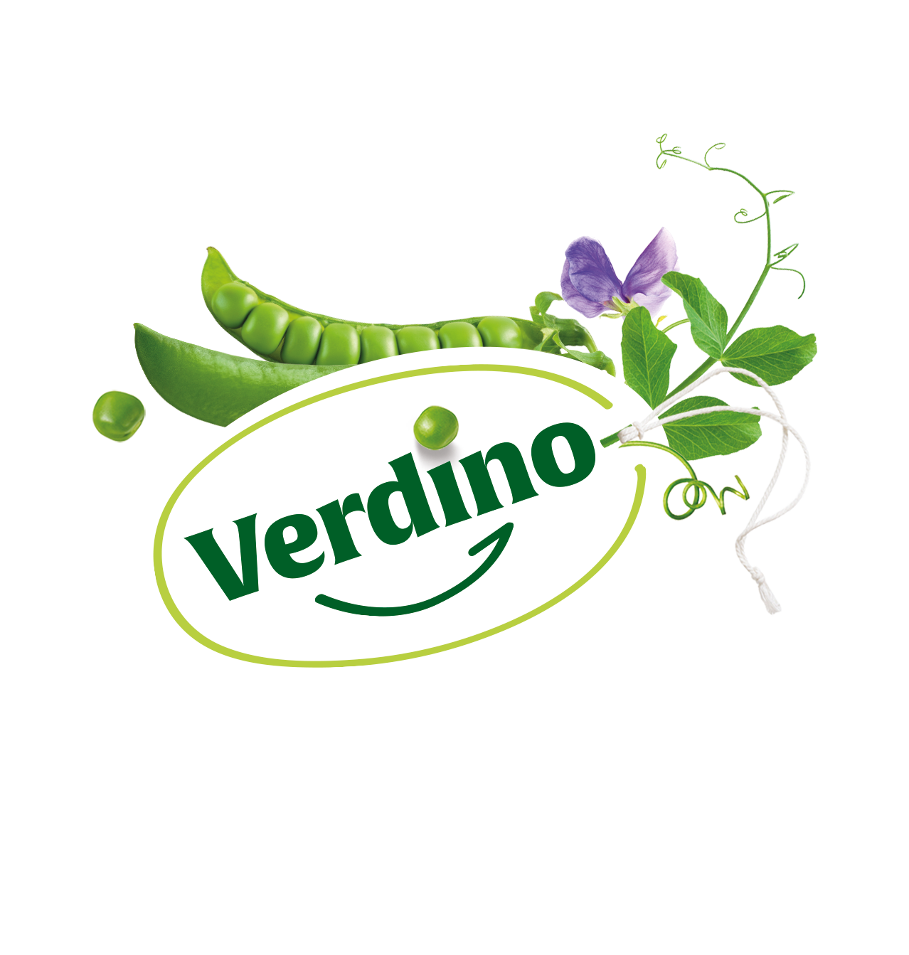 Distribuidor de Verdino en toda España - Proveedores Oficiales